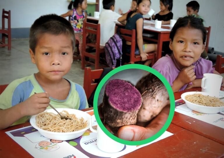 Amahuaca: Dieta, Caza y Castañas en la Amazonía | Nautilus
