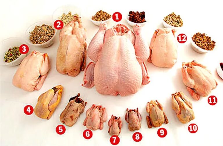 Cortes de Pollo: Guía Completa de Usos y Nutrición | Nautilus