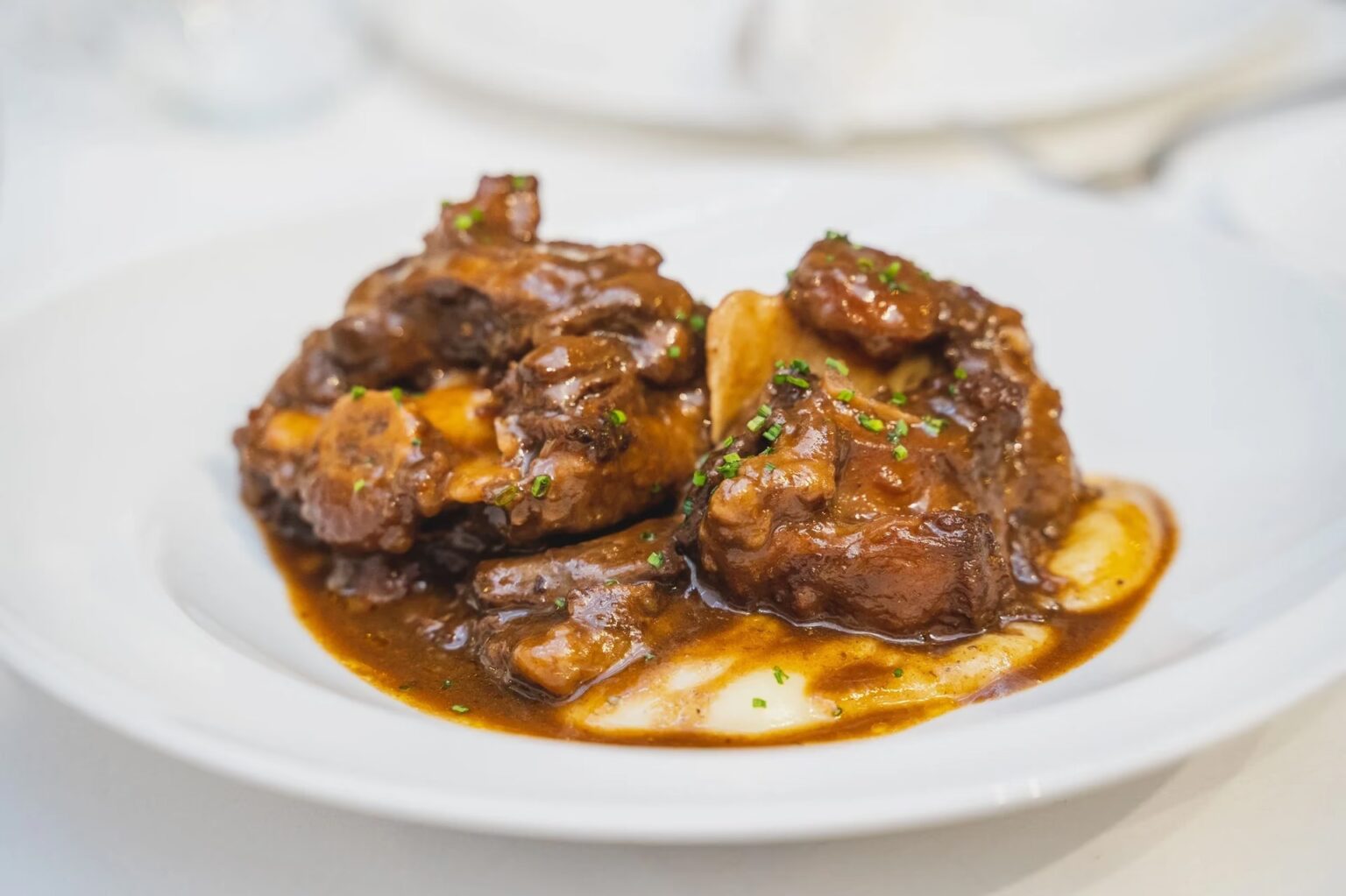 Sabores de Córdoba: Un Viaje Gastronómico por Montería | Nautilus