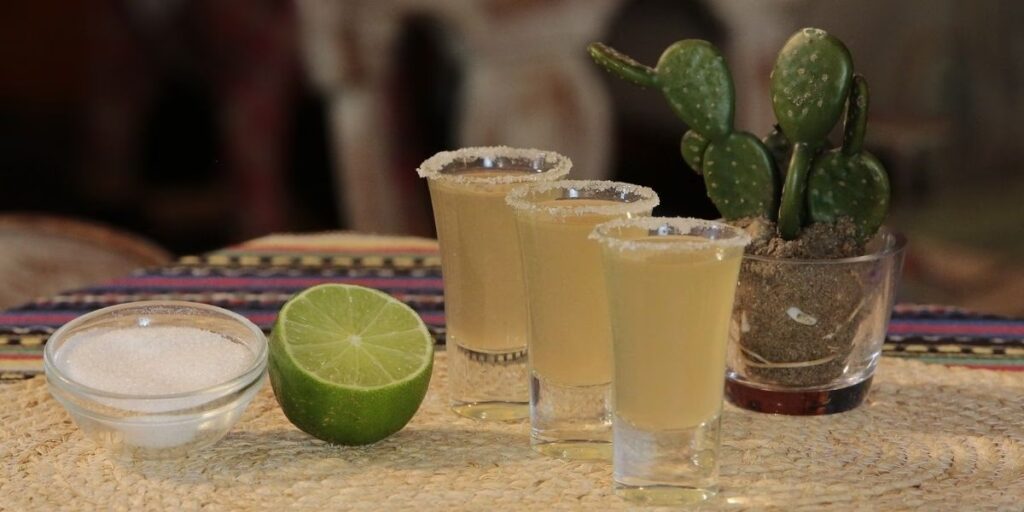 El Sabor Líquido de México: Un Viaje por sus Bebidas Típicas | Nautilus