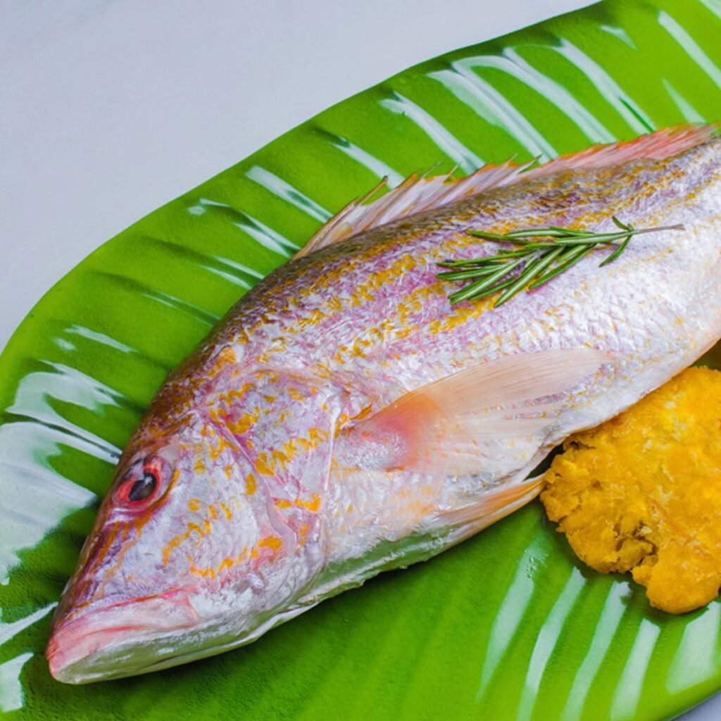 Pargo Rojo: La Joya del Atlántico en tu Mesa | Nautilus