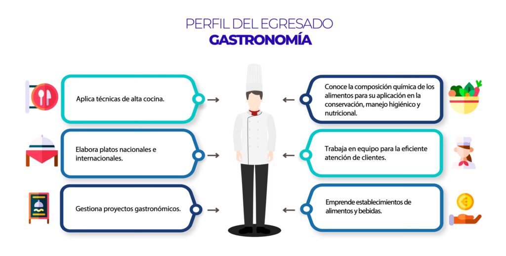 Perfil del Egresado: La Esencia de la Formación | Nautilus