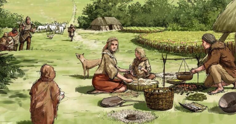 Sabores Ancestrales: La Gastronomía en la Prehistoria | Nautilus
