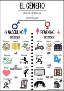 Restaurante: ¿Masculino o Femenino en Español? | Nautilus